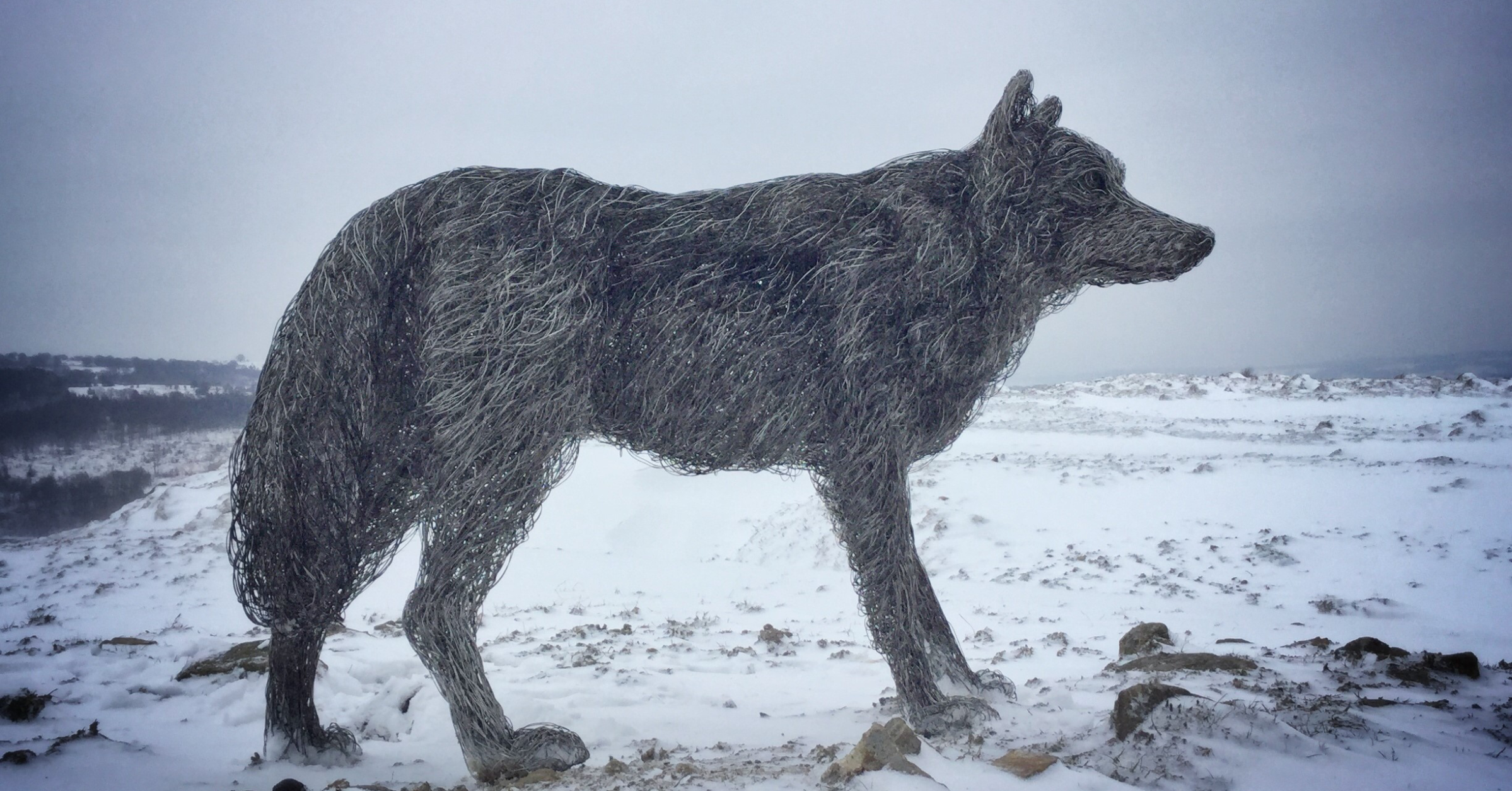 Stainless Steel Wire: Combining Art with Industry